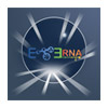 EteRNA – RNA Folding Game Used for Research – Techgage